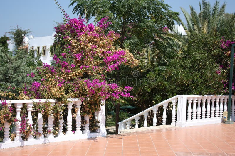 Staircase in the garden stock photo. Image of grass, plastic - 10632944