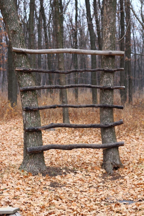 A Staircase Made of Tree Branches and Trees Stock Photo - Image of ...