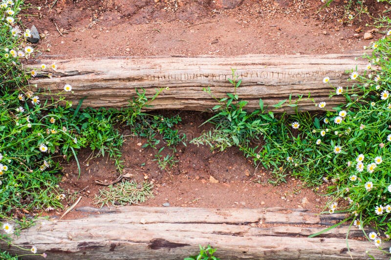 Man-made Steps of Stones and Sand To the Seashore Stock Photo - Image ...