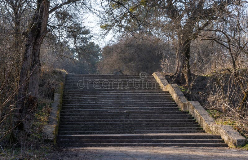 Staircase with Many Steps in the Park Stock Image - Image of diagonal ...