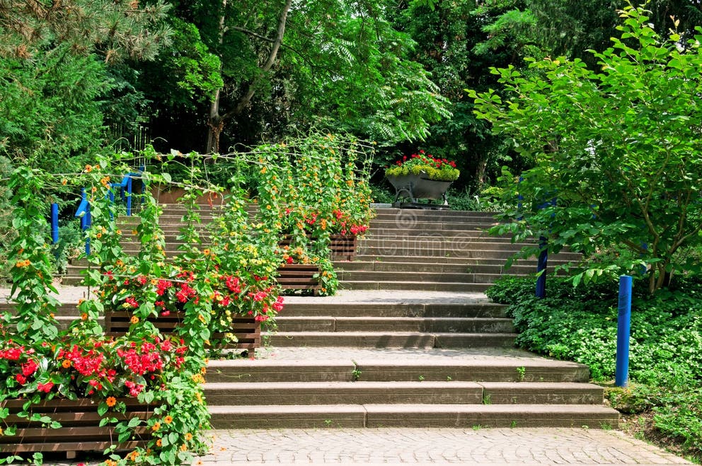 Staircase in the park stock image. Image of path, peaceful - 27975289
