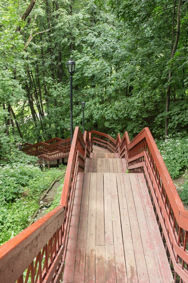 Staircase in park stock image. Image of plant, tree, plank - 42735479