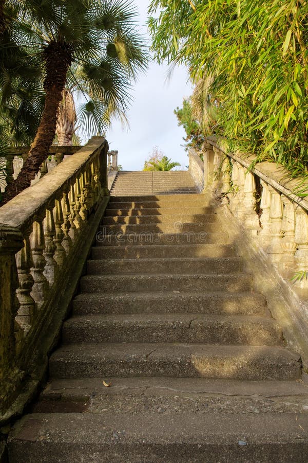 Staircase in a park stock image. Image of tree, green - 66116551