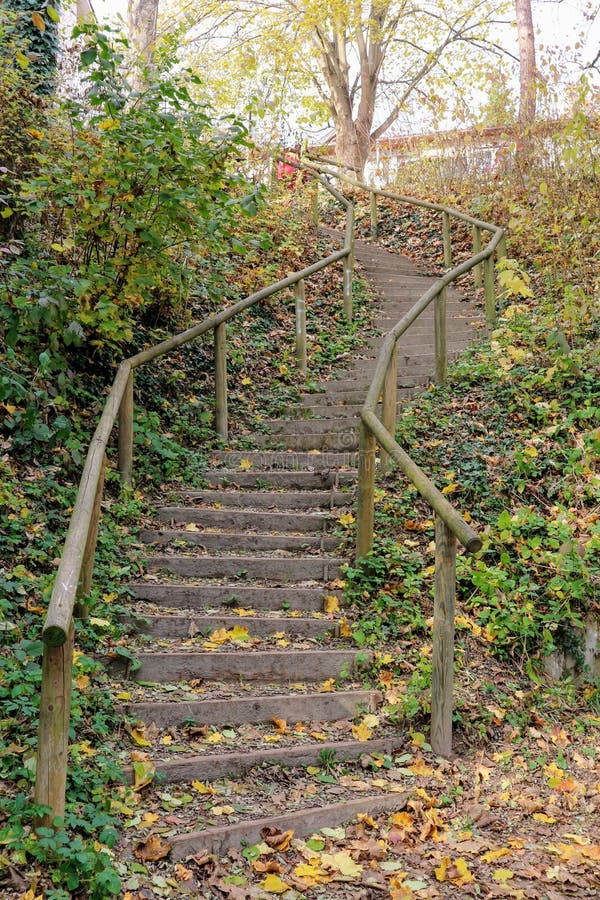 Staircase in the park stock image. Image of leaf, autumn - 241300571