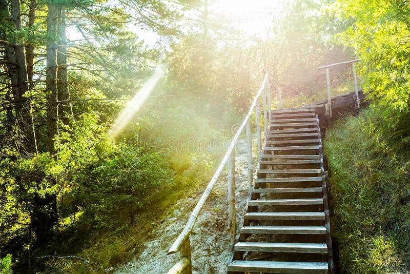 Staircase with Railing in the National Park Stock Image - Image of ...