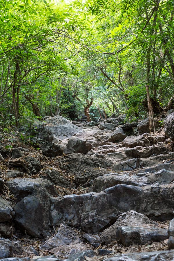 Way up the hill stock photo. Image of path, green, view - 30008894