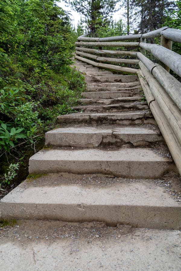 Staircase on the Trail at Marble Canyon in British Columbia Canada ...