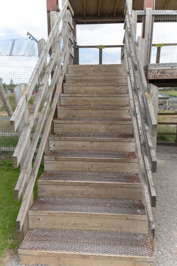 342 Zoo Stairs Stock Photos - Free & Royalty-Free Stock Photos from ...