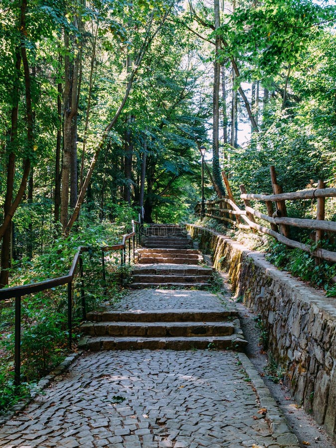 Stairs in Carpathian Forest, Romania Stock Photo - Image of heaven ...