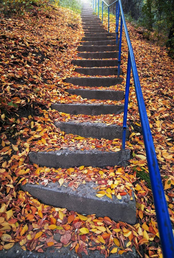 Stairs Covered with Autumn Leaves Stock Photo - Image of beautiful ...