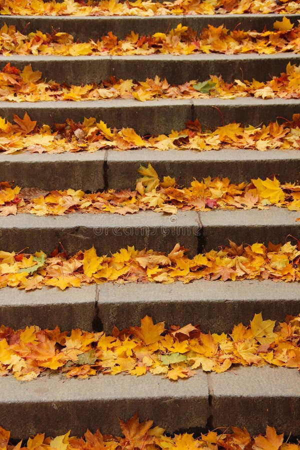 Stairs Filled with Autumn Leaves Stock Image - Image of green, grey ...