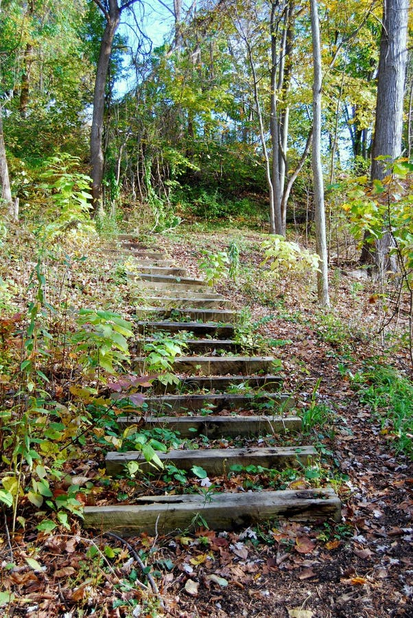 Stairs Going Up a Hill in the Forest. Stock Photo - Image of woods ...