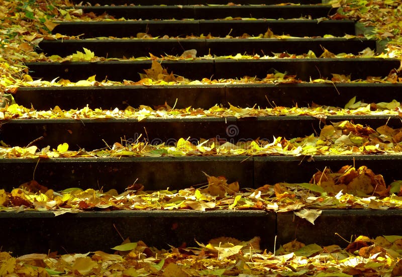Stairs with golden leaves stock image. Image of path - 60207513