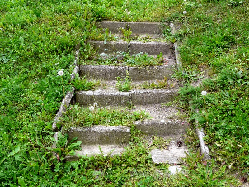 Stairs in the grass stock photo. Image of rock, nature - 45274200