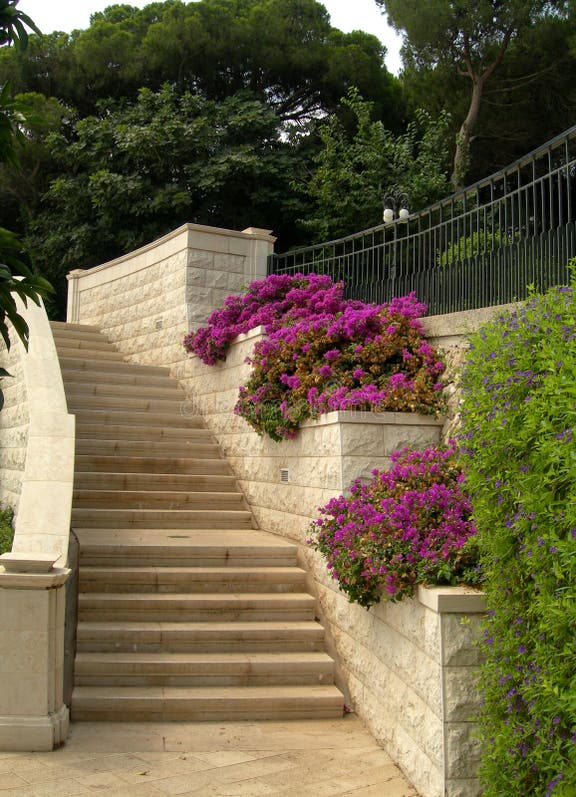 Stairs in Haifa park stock photo. Image of plants, haifa - 4428818