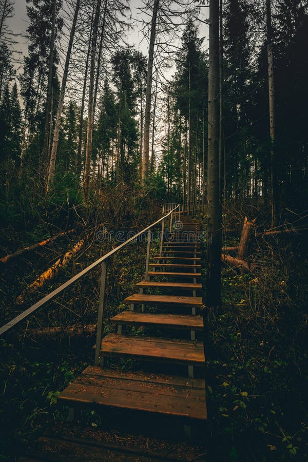 Inmar Trail Stock Photos - Free & Royalty-Free Stock Photos from Dreamstime