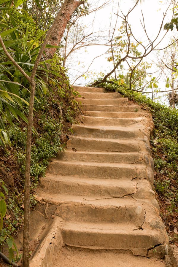 Stairs in Jungle stock photo. Image of tourism, stone - 71026258