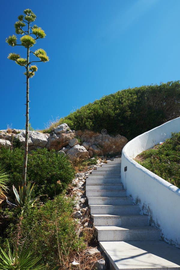 The Stairs Leading Up. Ladder Leading Upwards. Stock Image - Image of ...