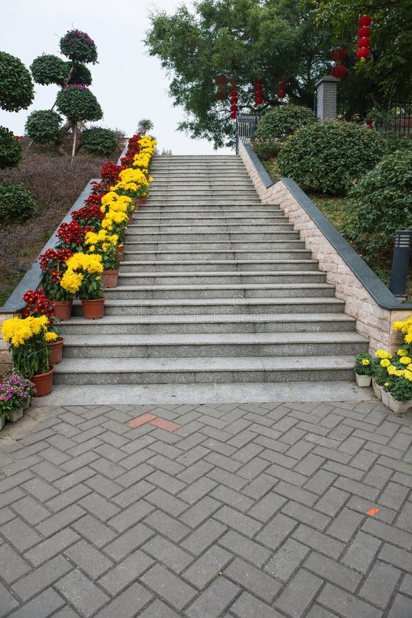 Stairs with Lots of Chrysanthemum Stock Image - Image of side ...