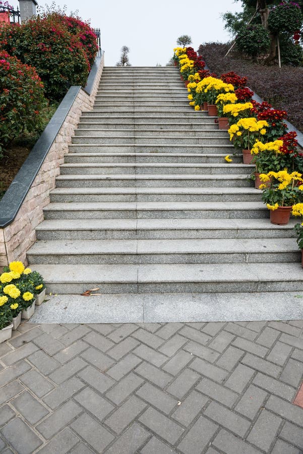 Stairs with lots of leaves stock image. Image of construction - 55541645