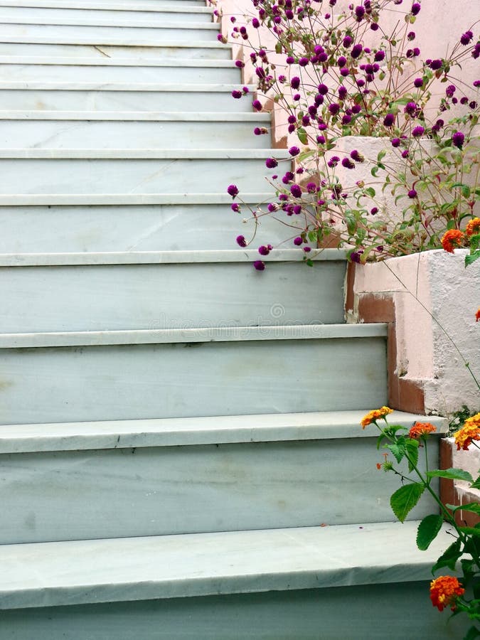 Stairs stock photo. Image of stairs, flora, step, plant - 35491544