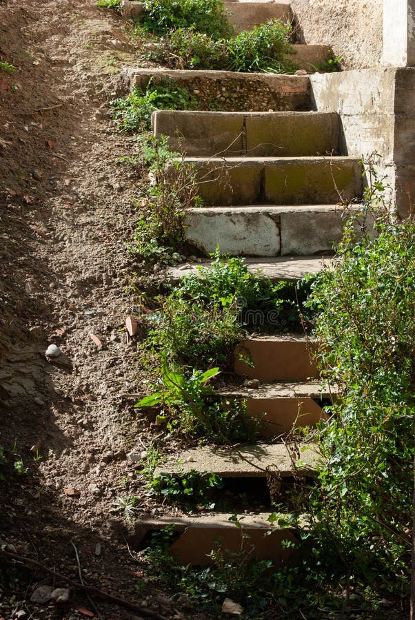 Stairs in nature stock photo. Image of hiking, hike - 236560766