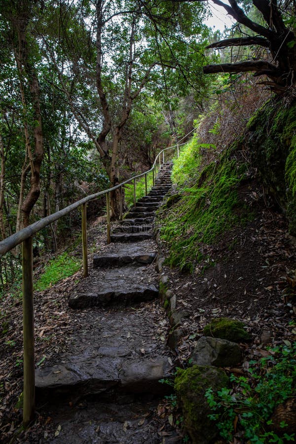 Stairs Outside in Nature, Europa Stock Photo - Image of vertigo, trail ...