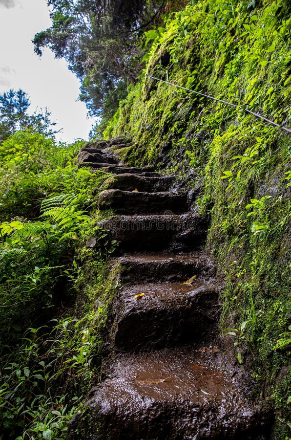 Stairs Outside in Nature, Europa Stock Photo - Image of stairs, step ...