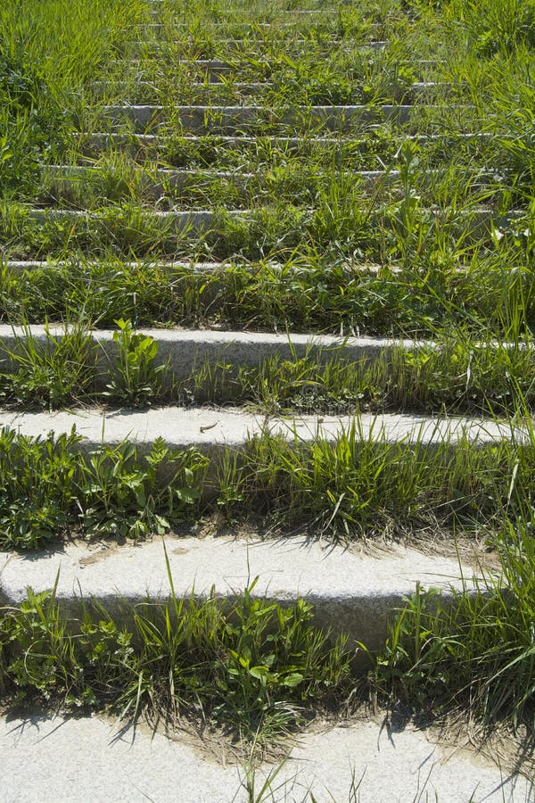 Stairs Overgrown with Grass Stock Image - Image of concrete, covered ...