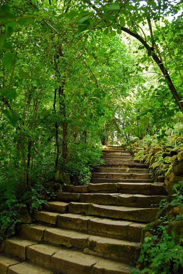 Stairs in park stock photo. Image of outlook, scenery - 11764540