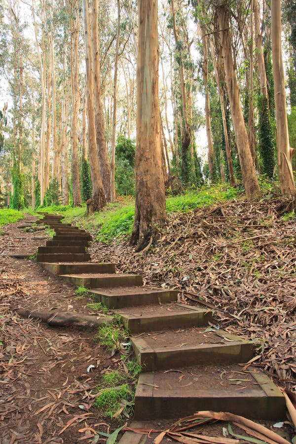 Stairs in a park stock photo. Image of historic, excercise - 23617426