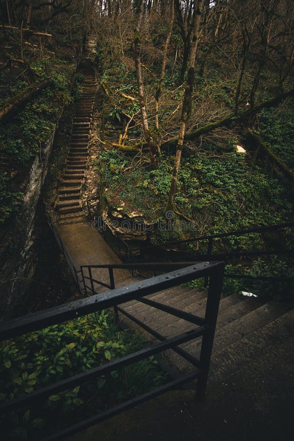 Stairs in the park stock image. Image of park, screenshot - 243319589