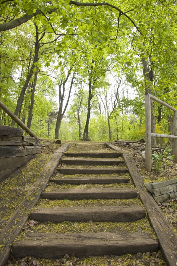 Stairs in a Park stock photo. Image of morning, peace - 5975010