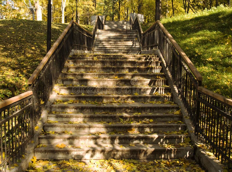 Stairs in the Park stock photo. Image of forest, railing - 7757184