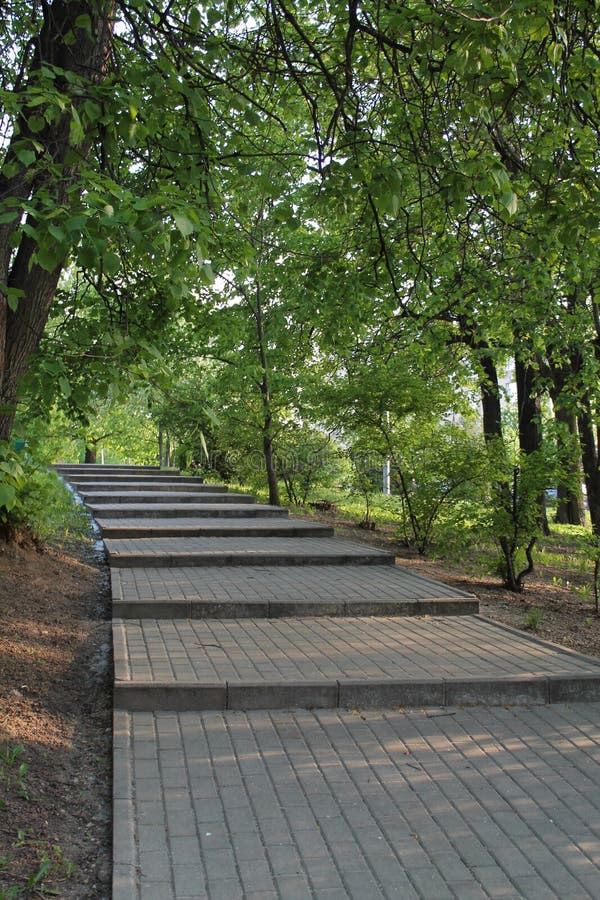 Stairs in the Park stock image. Image of path, bushes - 43102655