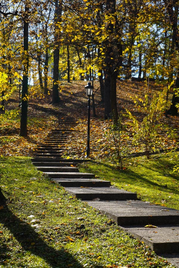 Stairs. Stairs in a Park during the Fall. Stock Image - Image of golden ...