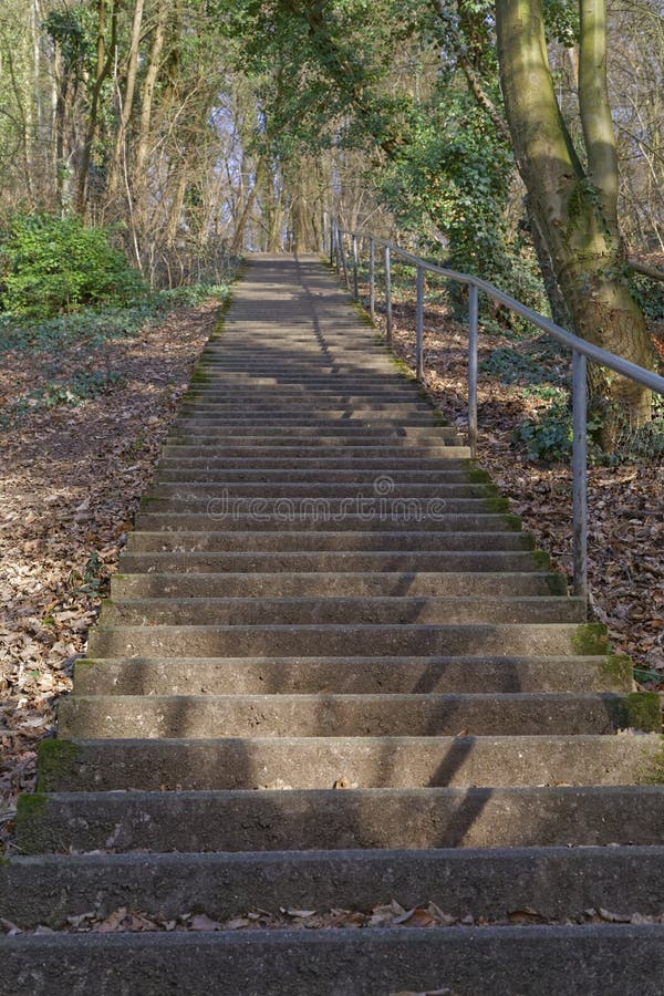 Stairs in a park stock image. Image of forest, trees - 88321973
