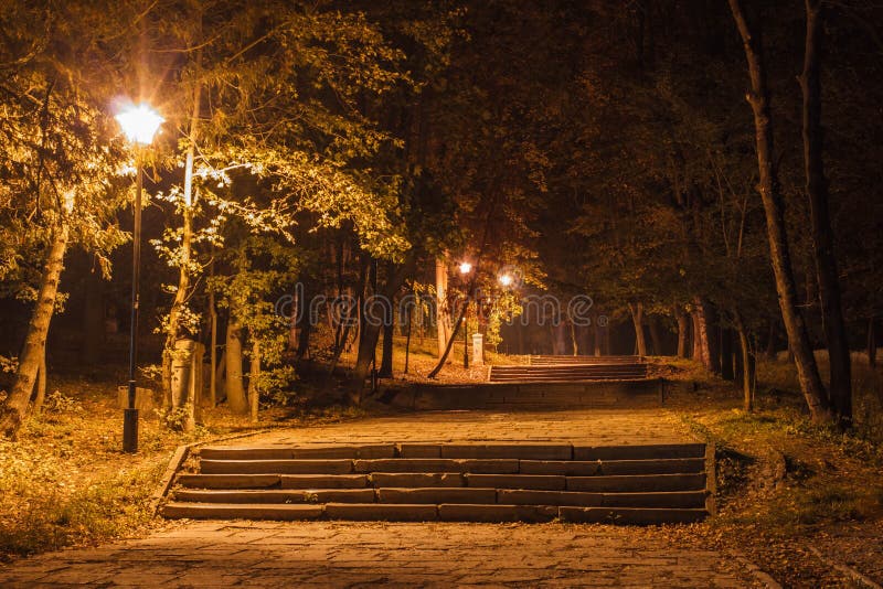 Stairs in park in night stock image. Image of outdoor - 83057081