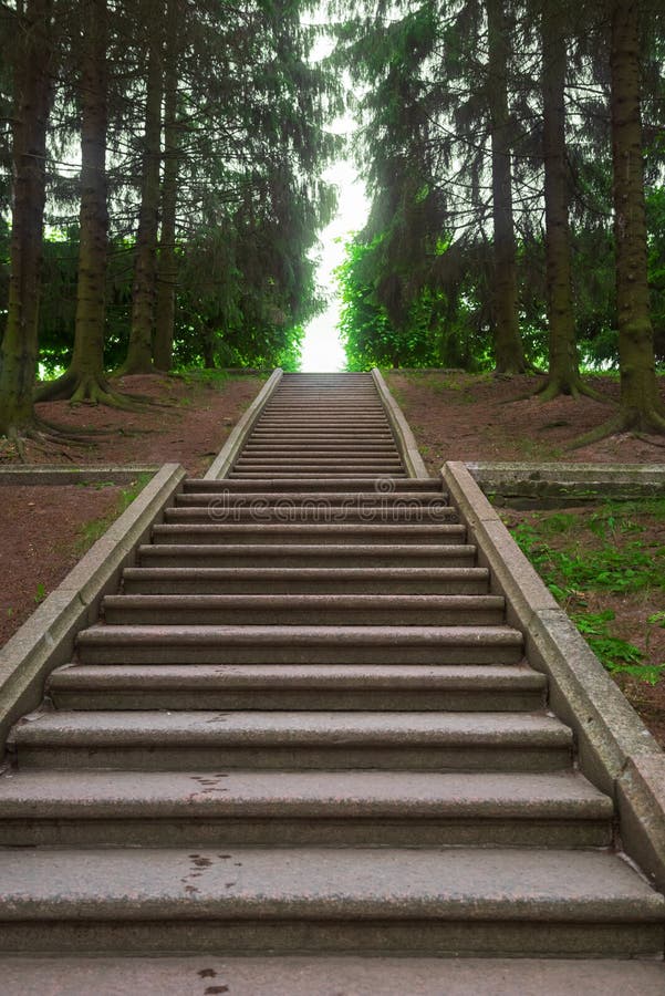 Stairs in the park stock photo. Image of rural, adventure - 259902876
