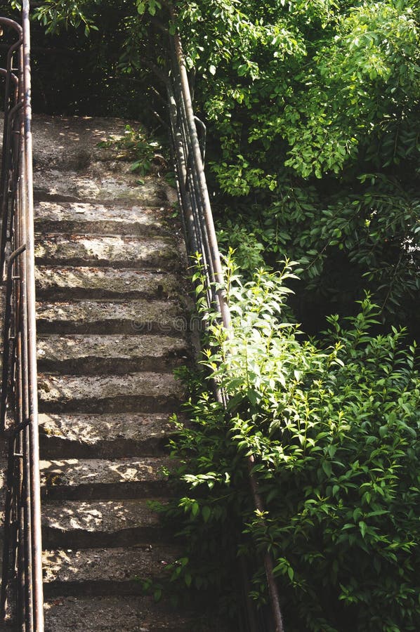 Stairs in park stock image. Image of light, entrance - 95200231
