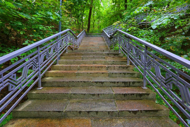 Stairs in park stock image. Image of plant, scenic, forest - 60260649