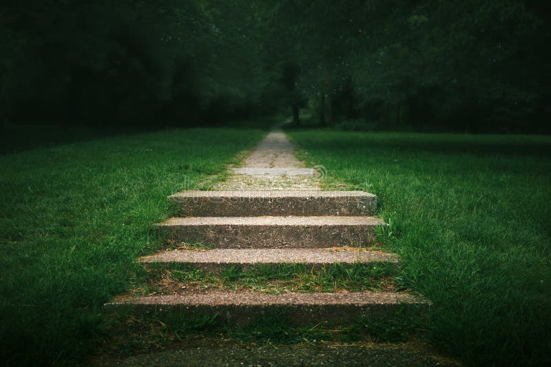 Stairs and a Path into a Dark Forest Stock Image - Image of path, step ...