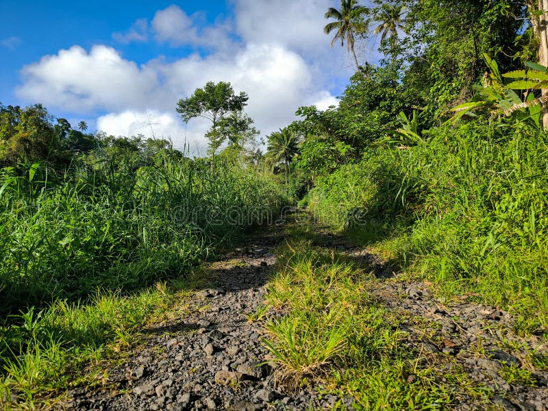 Stairs Road in Tinoor Village Stock Photo - Image of shrub, tinoor ...