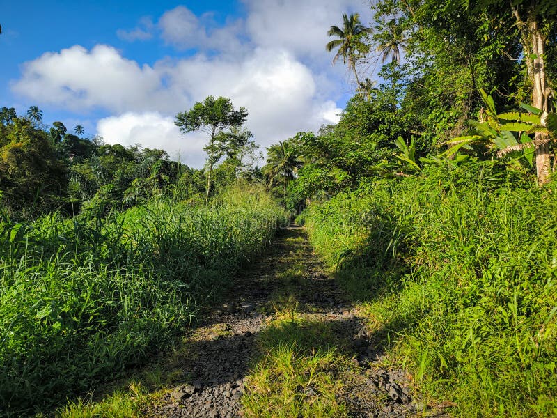 Stairs Road in Tinoor Village Stock Image - Image of wilderness ...