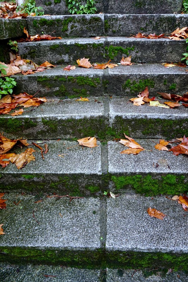 The Stairs and Steps Up and Down Stock Image - Image of color, stairs ...