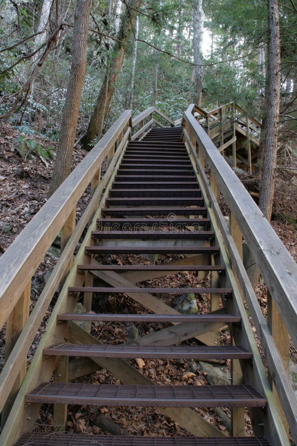 Stairs at Tallulah Gorge State Park in North Georgia Stock Photo ...