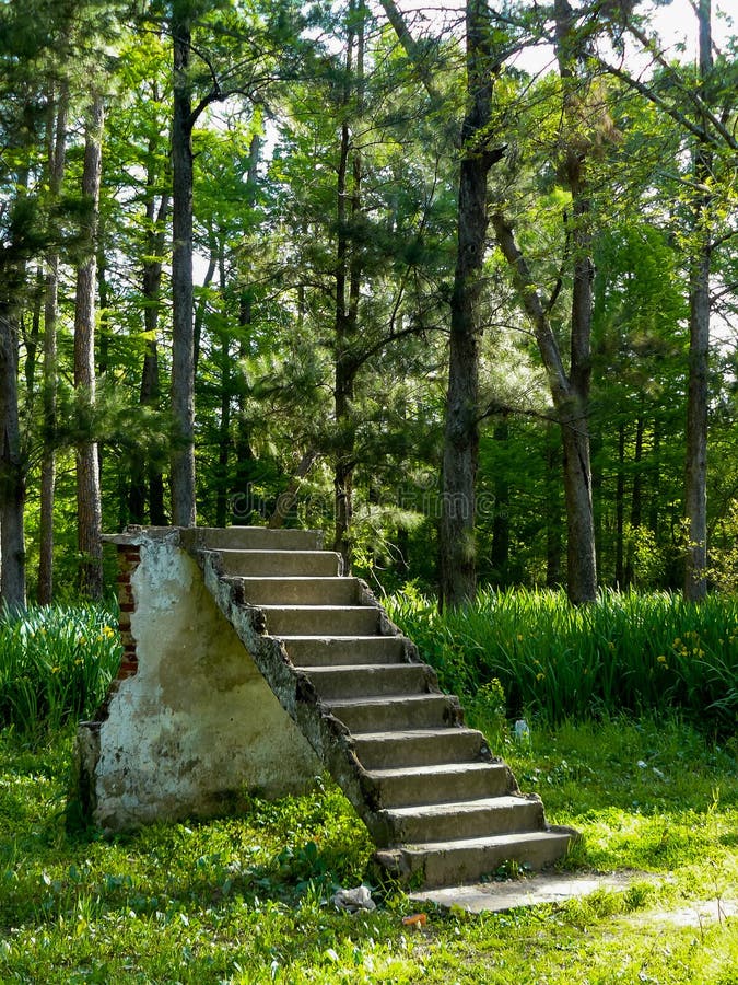 Stairs to nothing stock photo. Image of river, stairs - 249193526