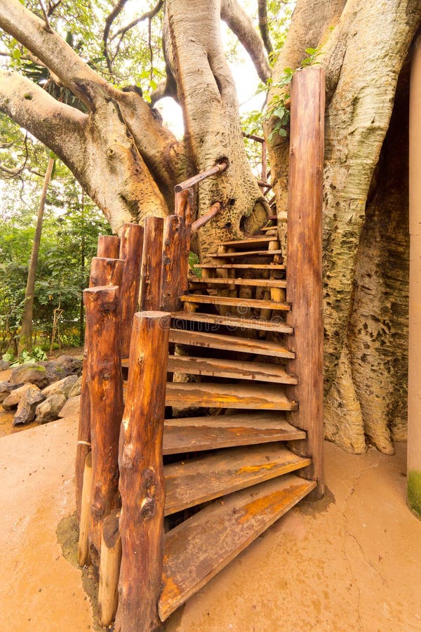 Stairs to the tree house stock photo. Image of wood, path - 25775878