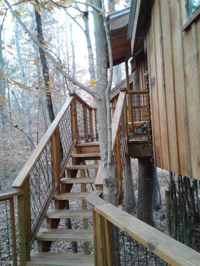 Stairs Tree House Wood Forest Stock Image - Image of tree, forest ...