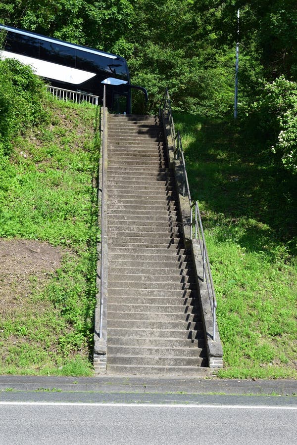 417 Plain Bus Stock Photos - Free & Royalty-Free Stock Photos from ...